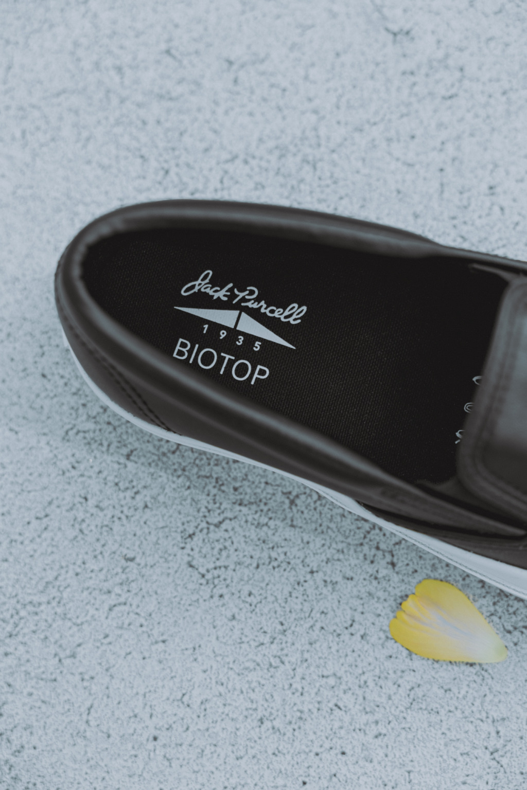 CONVERSE for BIOTOP 26SS | TOPICS | BIOTOP – ビオトープ